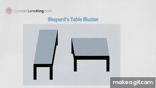 Shepard's Table Illusion on Make a GIF