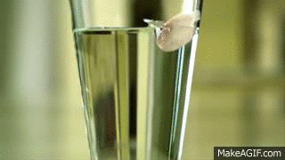 effervescent tablets on Make a GIF