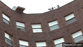 Piano Drop - MIT on Make a GIF