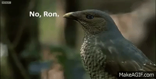 Lemme Smash (Original) on Make a GIF