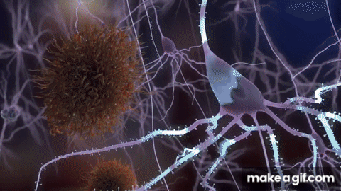 Inside Alzheimer’s disease on Make a GIF