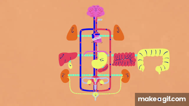 The surprising effects of pregnancy on Make a GIF