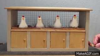 Poultry in Motion Automata on Make a GIF
