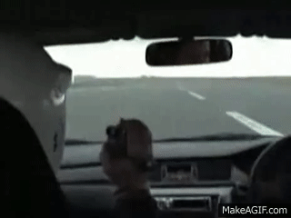 Bird Hits Windshield at 100 MPH on Make a GIF