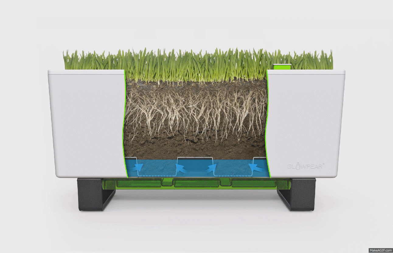 Glowpear MIni Self Watering Planter on Make a GIF