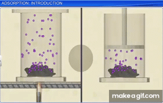 CBSE Class 12 Chemistry, Surface Chemistry – 1, Adsorption ...