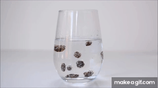 Dancing Raisins on Make a GIF