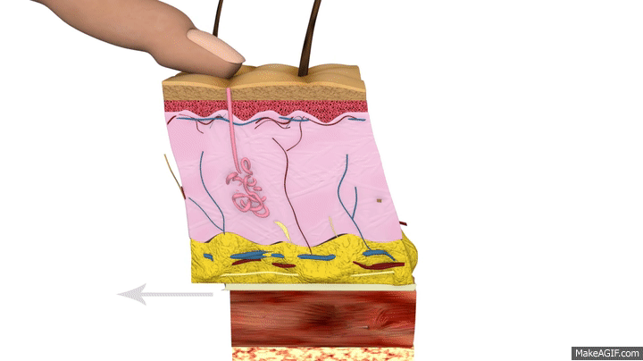 Injection Techniques on Make a GIF