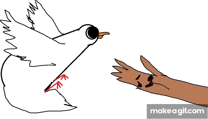 This Dove Like Seed On Make A