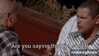 Tuco I'm stupid on Make a GIF