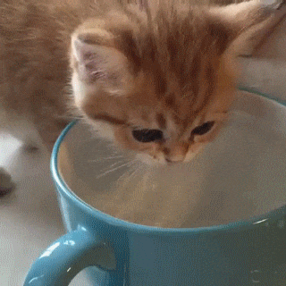 Drinking in a Cute Way on Make a GIF
