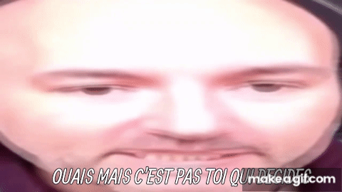 OUAIS MAIS C'EST PAS TOI QUI DECIDE [MEME FANTA] on Make a GIF