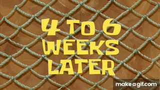 4 to 6 Weeks Later | SpongeBob Time Card #39 on Make a GIF