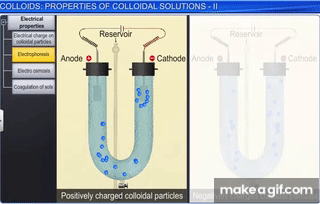 CBSE Class 12 Chemistry, Surface Chemistry – 12, Colloids: Properties ...