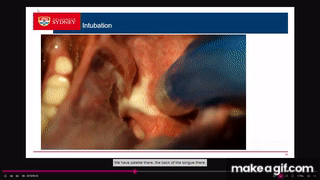 intubation dog on Make a GIF