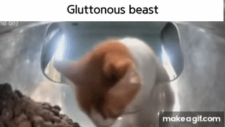 GLUTTONOUS BEAST on Make a GIF