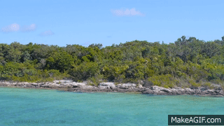 Real Life Mermaid Melissa Footage on Tropical Island on Make a GIF