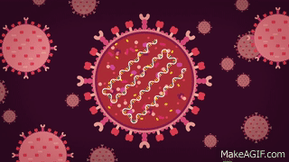Measles Explained — Vaccinate or Not? on Make a GIF