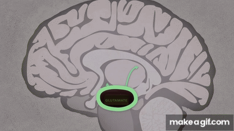 Neuroscience - Addiction and the Brain on Make a GIF