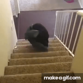 ayo the pizza here on Make a GIF