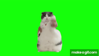 Cat Dancing to Wop | Green Screen on Make a GIF