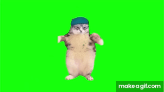 【猫ミーム】ダンス【グリーンバック素材】 on Make a GIF
