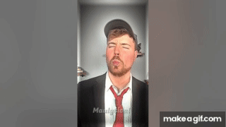 Mr. Beast Sigma on Make a GIF