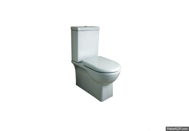 bathroom Toilets design Adelaide on Make a GIF