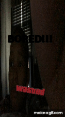 Totally Relatable Gifs