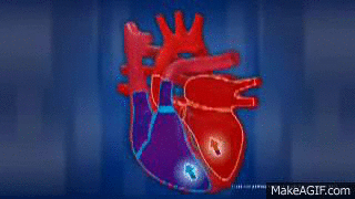 heart.pump on Make a GIF