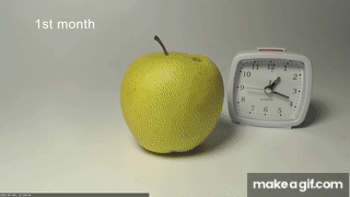 Time lapse video of an apple rotting at 20°C on Make a GIF
