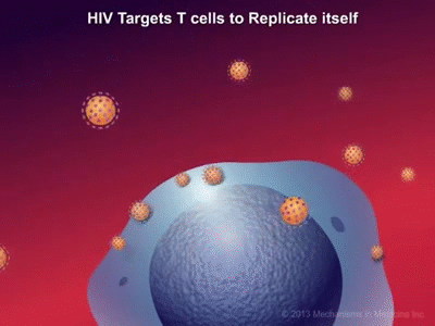 How HIV Causes Disease on Make a GIF
