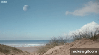 The Moon Hatches? | Kill The Moon | Doctor Who on Make a GIF