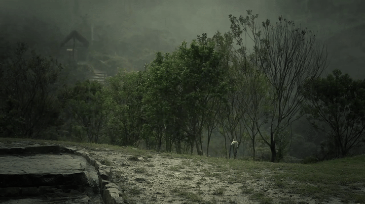 Ruta de la Niebla on Make a GIF