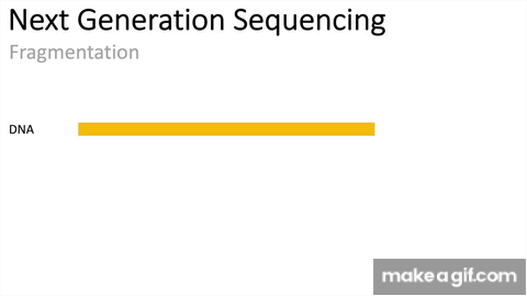 Next Generation Sequencing (Illumina) - An Introduction on Make a GIF