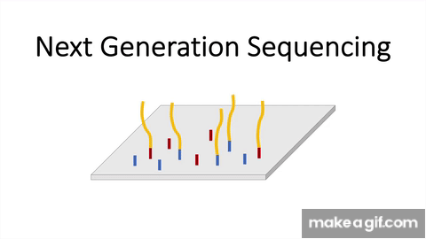 NGS_complete on Make a GIF