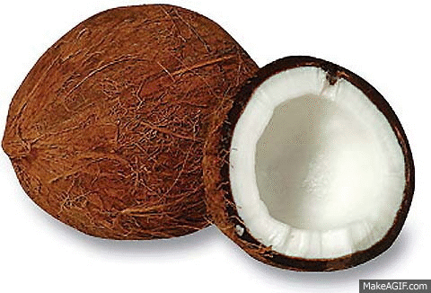 coconut is bae on Make a GIF