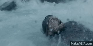 The Revenant (2015) | Top 10 Epic Scenes! [HD] (No BG music) on Make a GIF