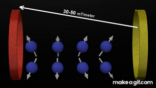 Diffusion Weighted Imaging on Make a GIF