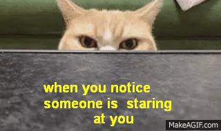 WHERE r u on Make a GIF