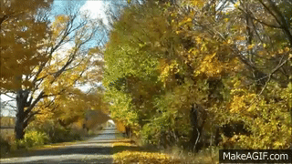 Leaves Blowing In The Wind On Make A GIF Leaves Blowing In The Wind On Make A GIF