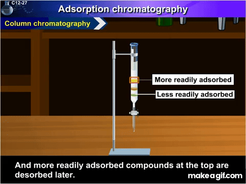 Adsorption Chromatography | 11th Std | Chemistry | Science ...