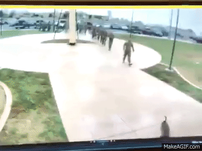Гусь напал на солдат on Make a GIF