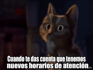 Gif Del Gato Con Botas Gato Con Botas GIFs | Tenor