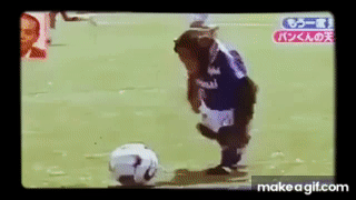 Mono jugando futbol on Make a GIF