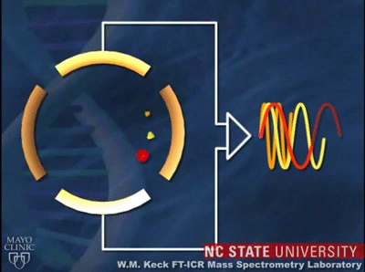Fourier Transform Ion Cyclotron Resonance Mass Spectrometry on Make a GIF