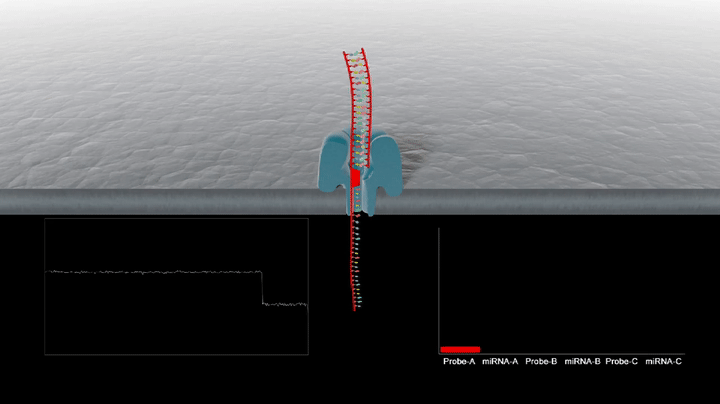 Nanopore analysis of micro RNA on Make a GIF
