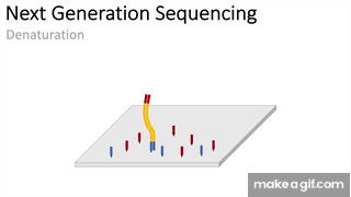 Next Generation Sequencing (Illumina) - An Introduction on Make a GIF