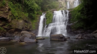 Paisaje, selva on Make a GIF