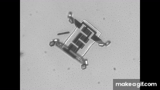 Smallest Robots Ever Made | Micro-robotics (Nanobots) on Make a GIF